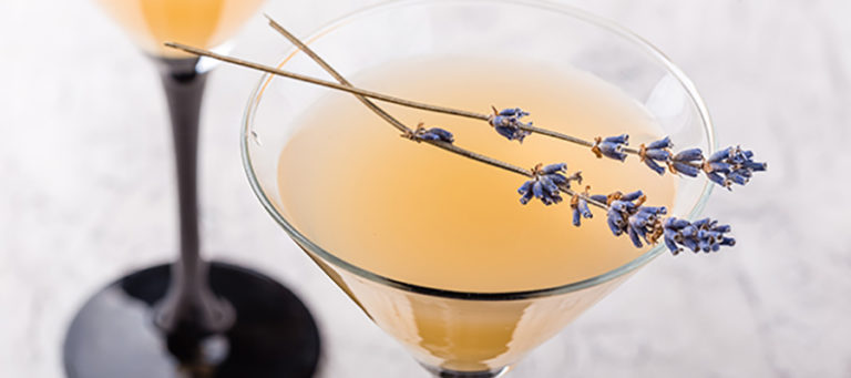 Lavender Paloma - Adams Fairacre Farms