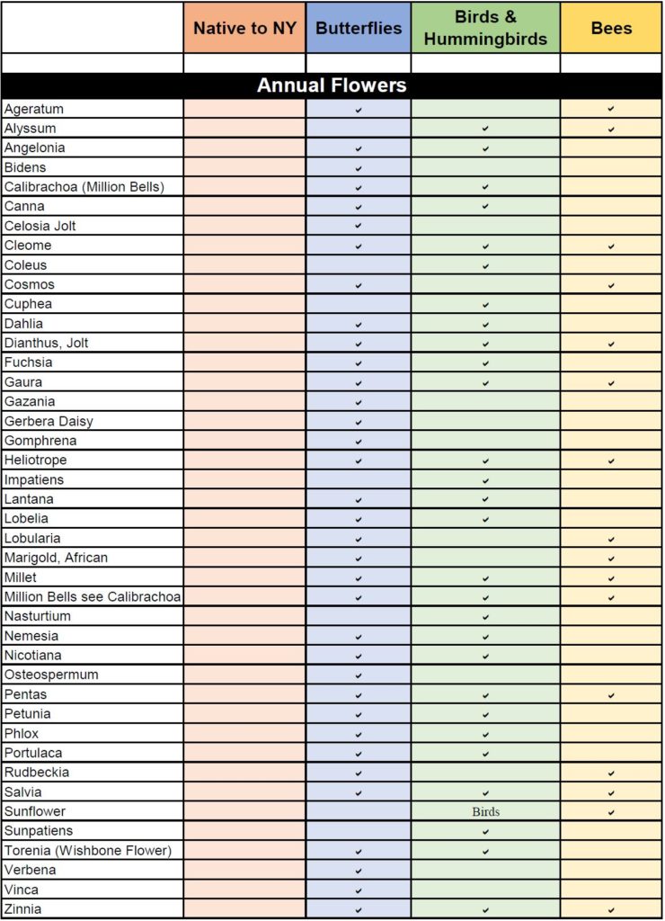 Pollinator-Friendly Plant List - Adams Fairacre Farms