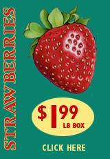 Adams Fairacre Farms